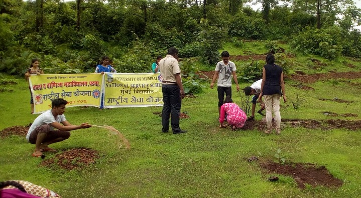 Regular Activities | National Service Scheme